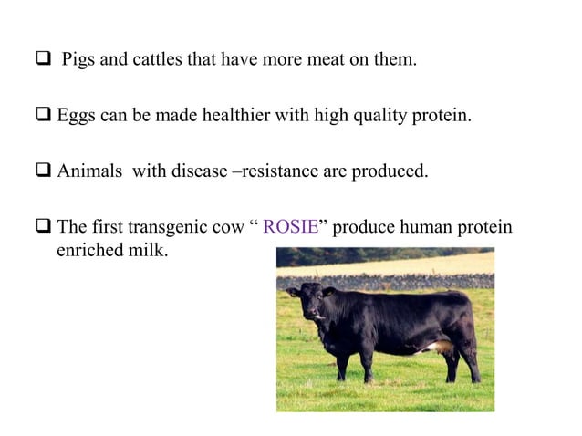 Application of Transgenic Animals in Livestock production | PPTX ...