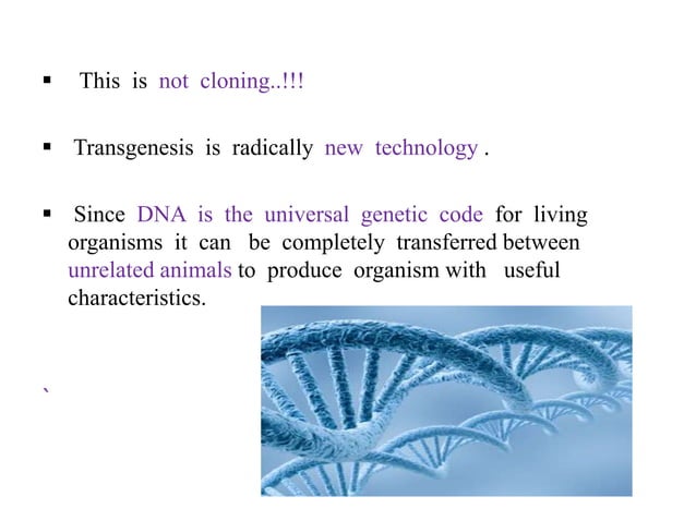 Application of Transgenic Animals in Livestock production | PPTX ...