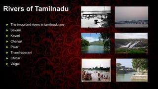 Exploring Tamil Nadu with its complete history | PPTX
