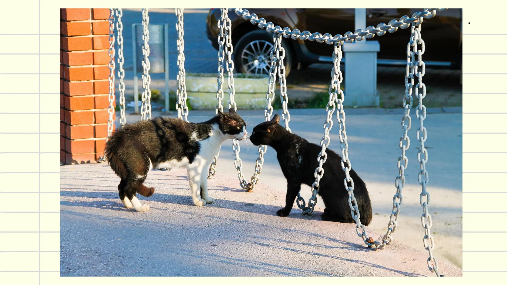 Taming Feral DevOps | PPT Taming Feral DevOps | PPT