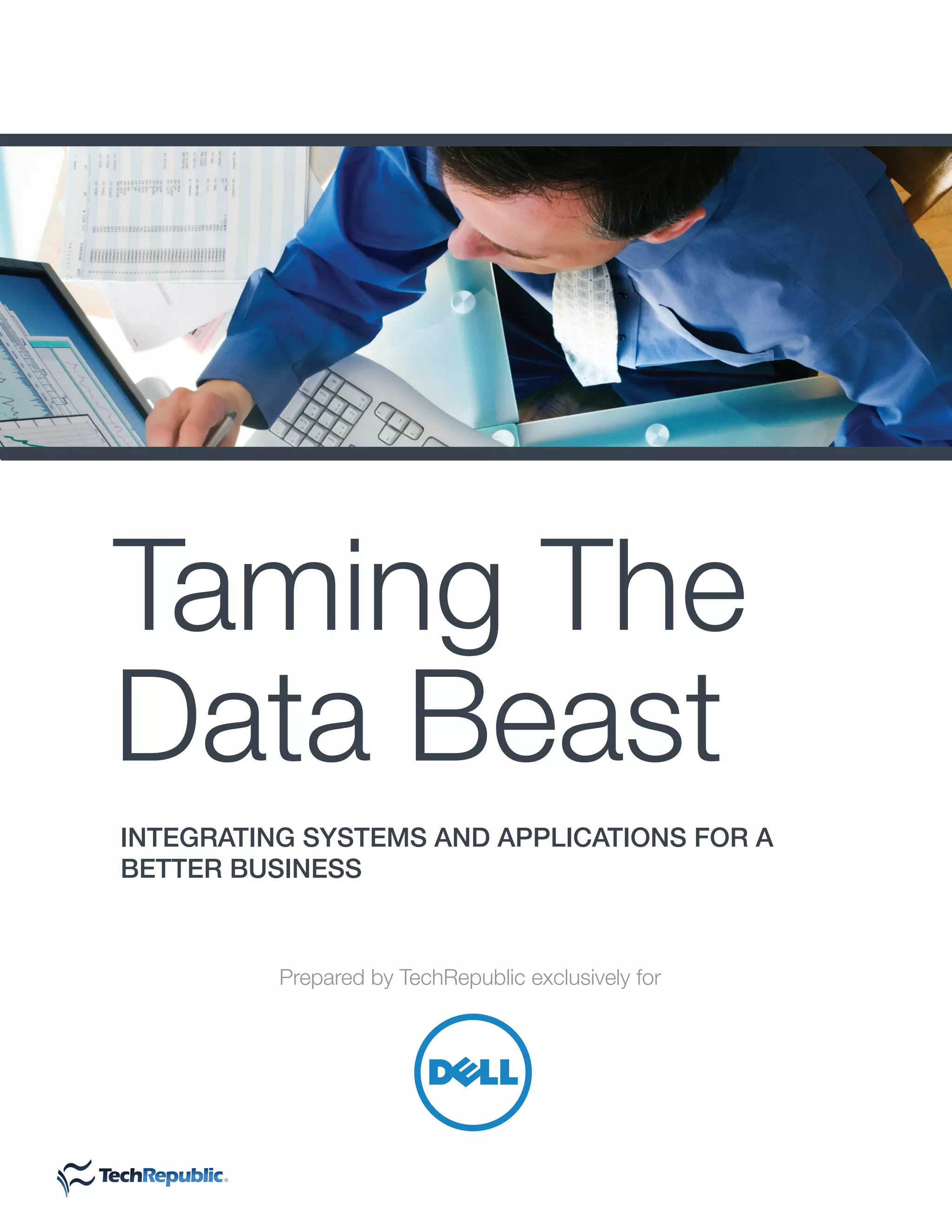 Taming the data beast | PDF