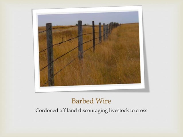 Taming the Heartland | PPT