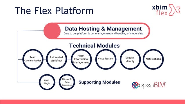 Taming the Information Management beast using IDS.pdf