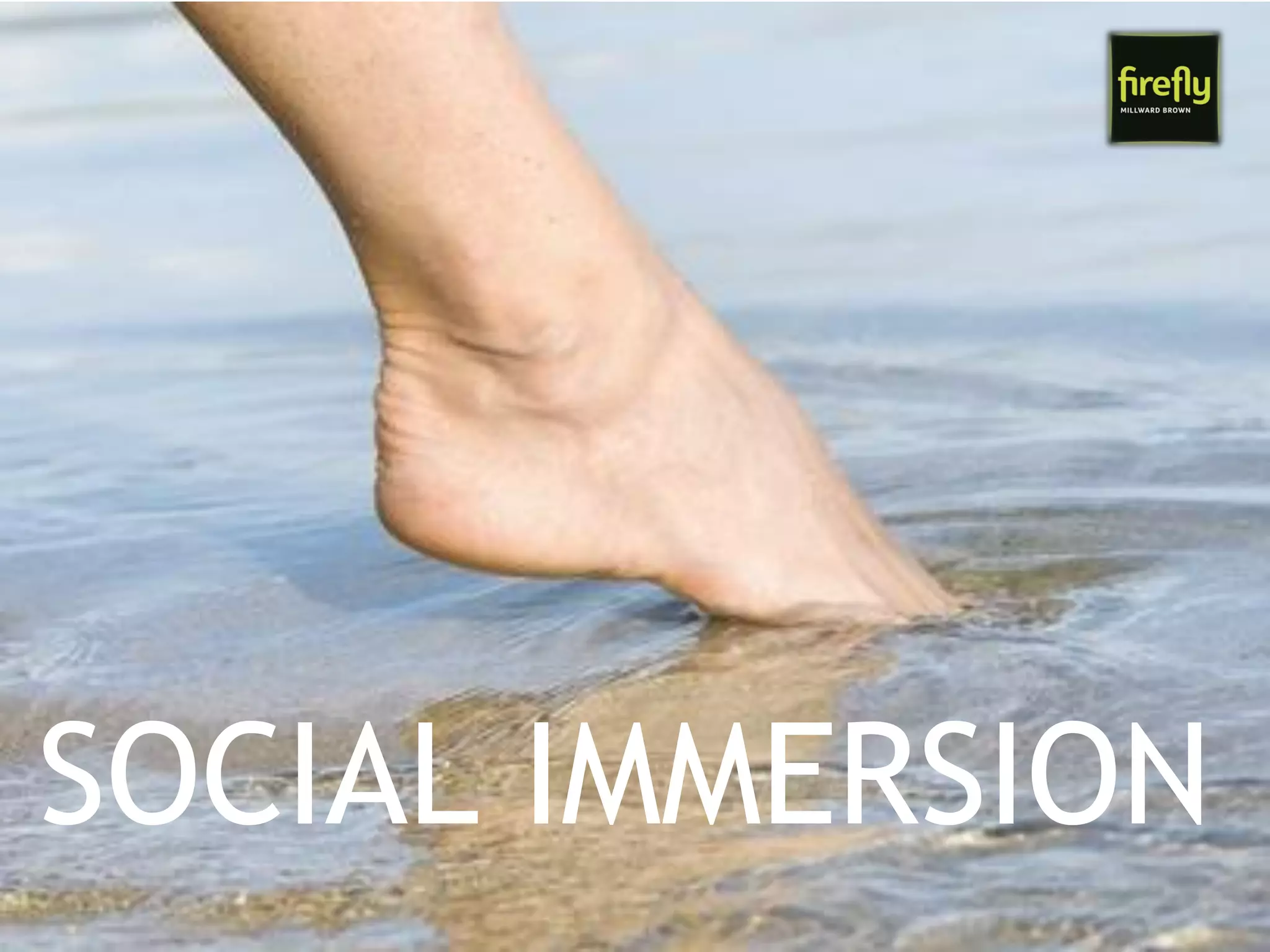 Taming the raging river - Qualitative Research & Social Media - Firefly ...