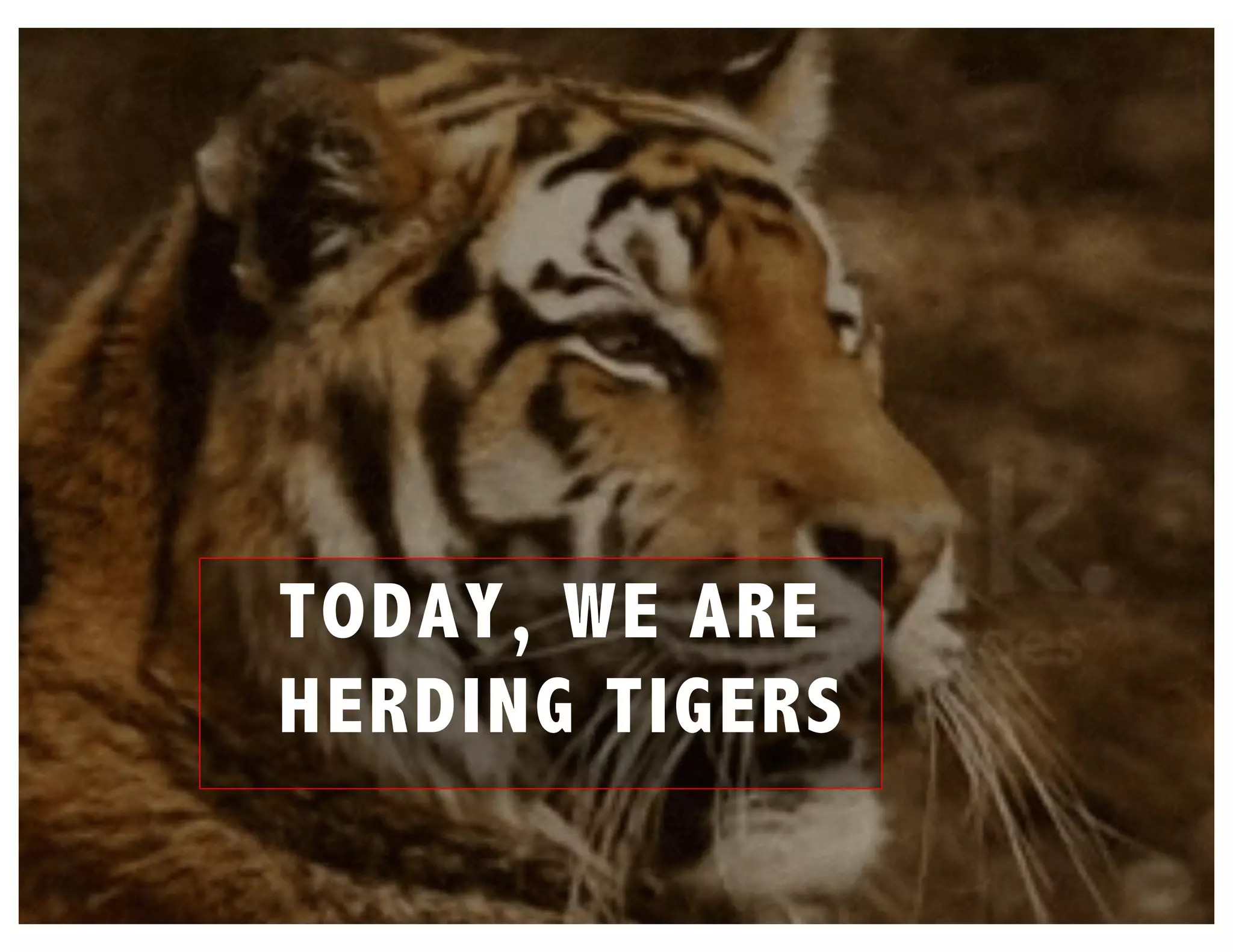 Taming tigers: Managing Complex Stakeholder Environments | PPT