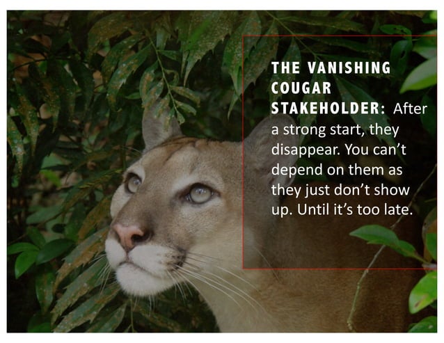 Taming tigers: Managing Complex Stakeholder Environments | PPT