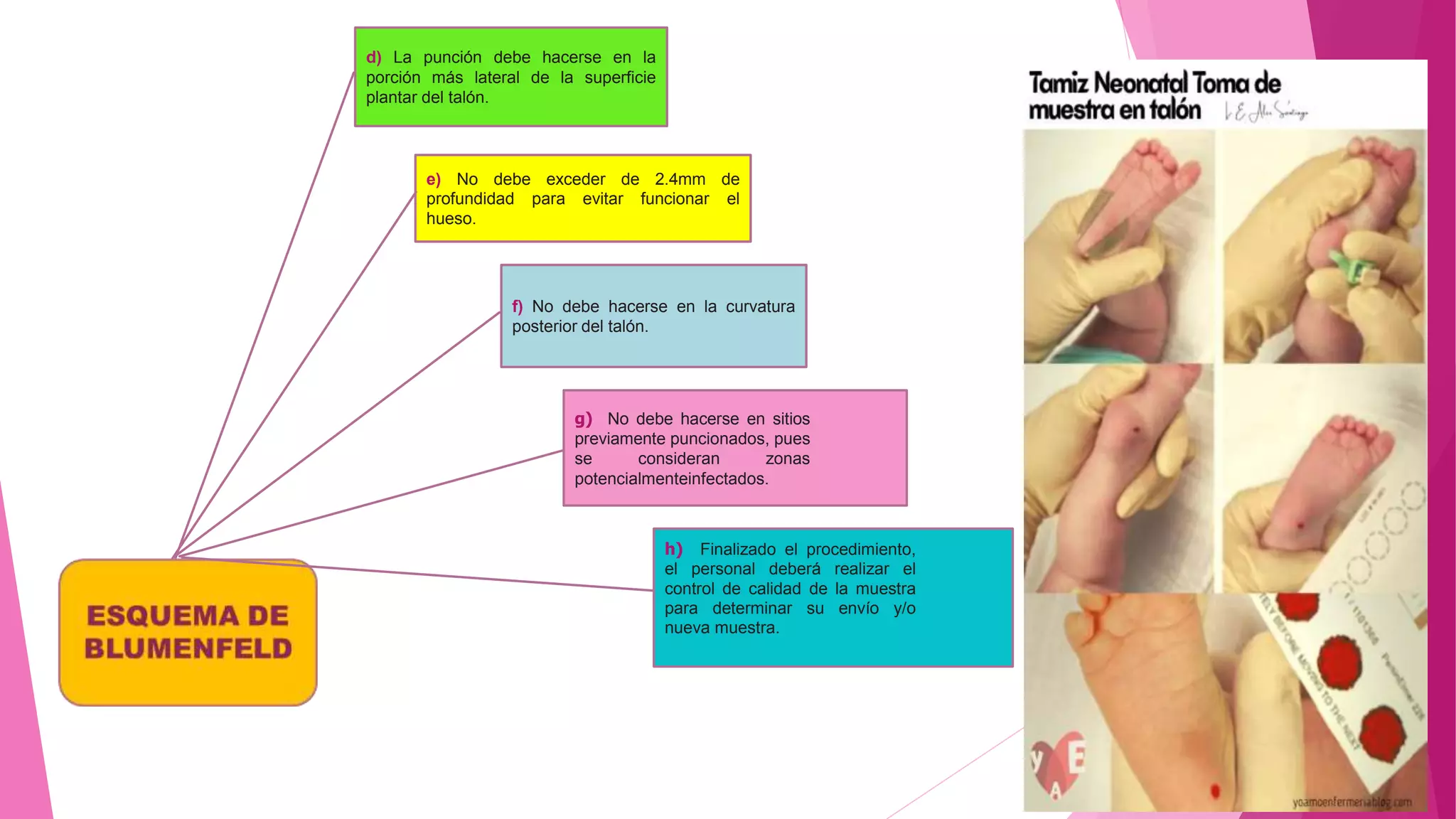 tamizaje neonatal ppt.pptx