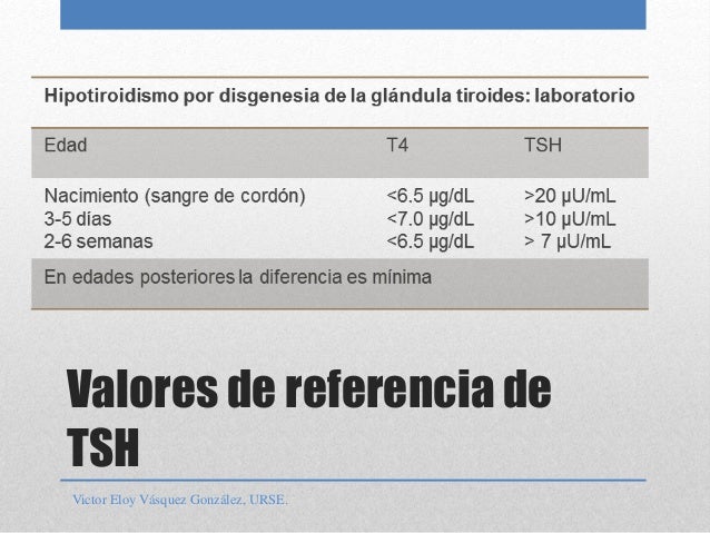 TSH valores de referencia (con imágenes) | Glándula tiroides ...