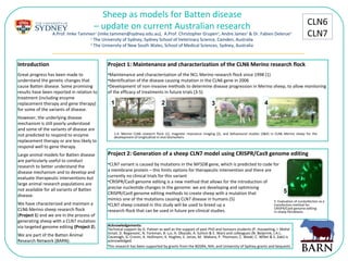 2017 BDSRA Tammen, Grupen, James and Delerue CLN6 CLN7 | PPT | Free ...