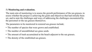 restoring a degraded sea grass ecosystem | PPT