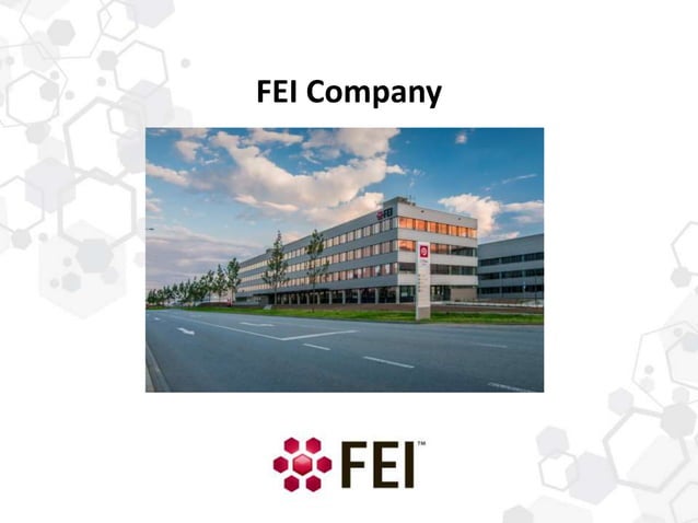 FEI Company Brno | PPT