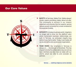 Tamrose venture ltd | PDF
