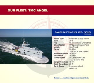 Tamrose venture ltd | PDF