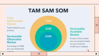 TAM SAM SOM.pdf