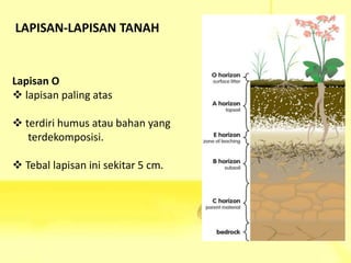 pencemaran Tanah | PPTX