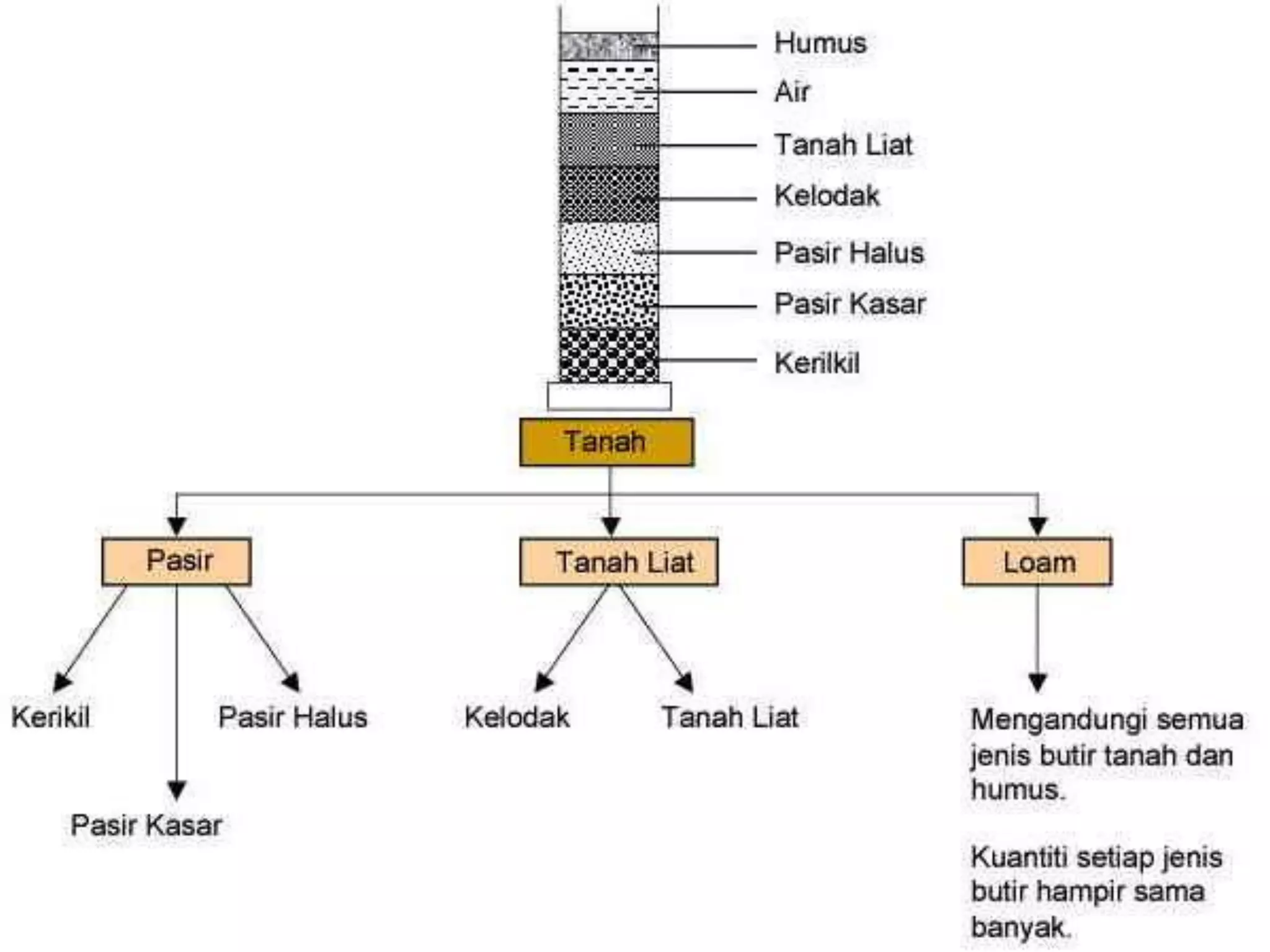 SAINS PERTANIAN: TANAH | PPTX