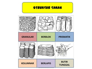 Struktur Tanah