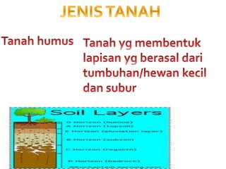 Tanah | PPT