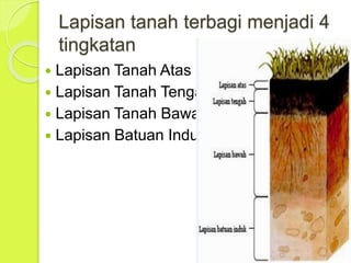 Tanah.pptx