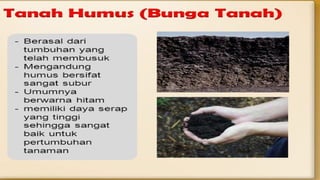 berbagai lapisan tanah dan unsur-unsur tanah | PPTX