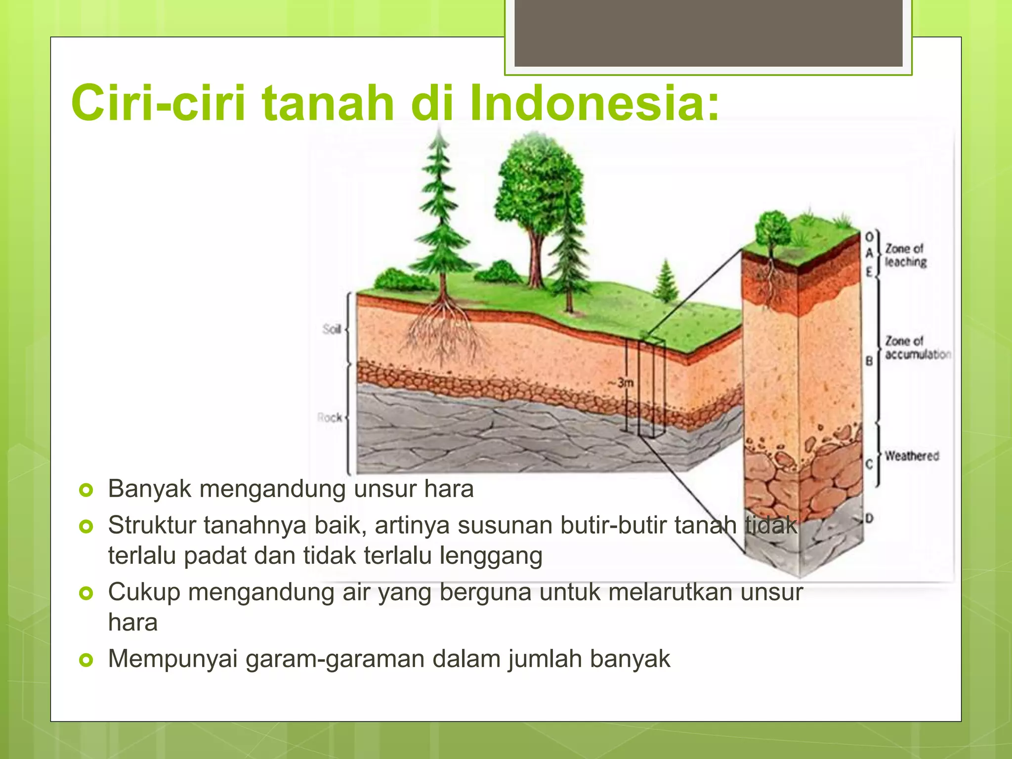 struktur tanah.pptx