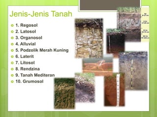 struktur tanah.pptx