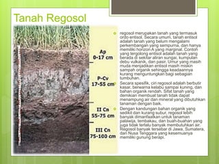 struktur tanah.pptx