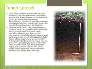 struktur tanah.pptx
