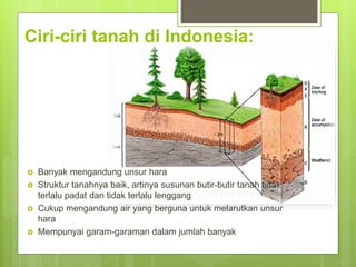 Struktur Tanah Yang Baik