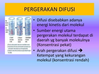 tanah-difusi-osmosi (2).pptx