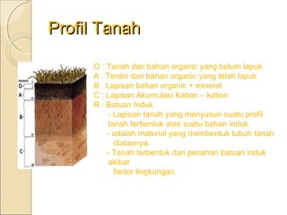 Tanah agro | PPT