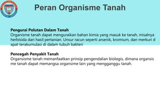 Tanah dan Keberlangsungan Hidup 1.pptx