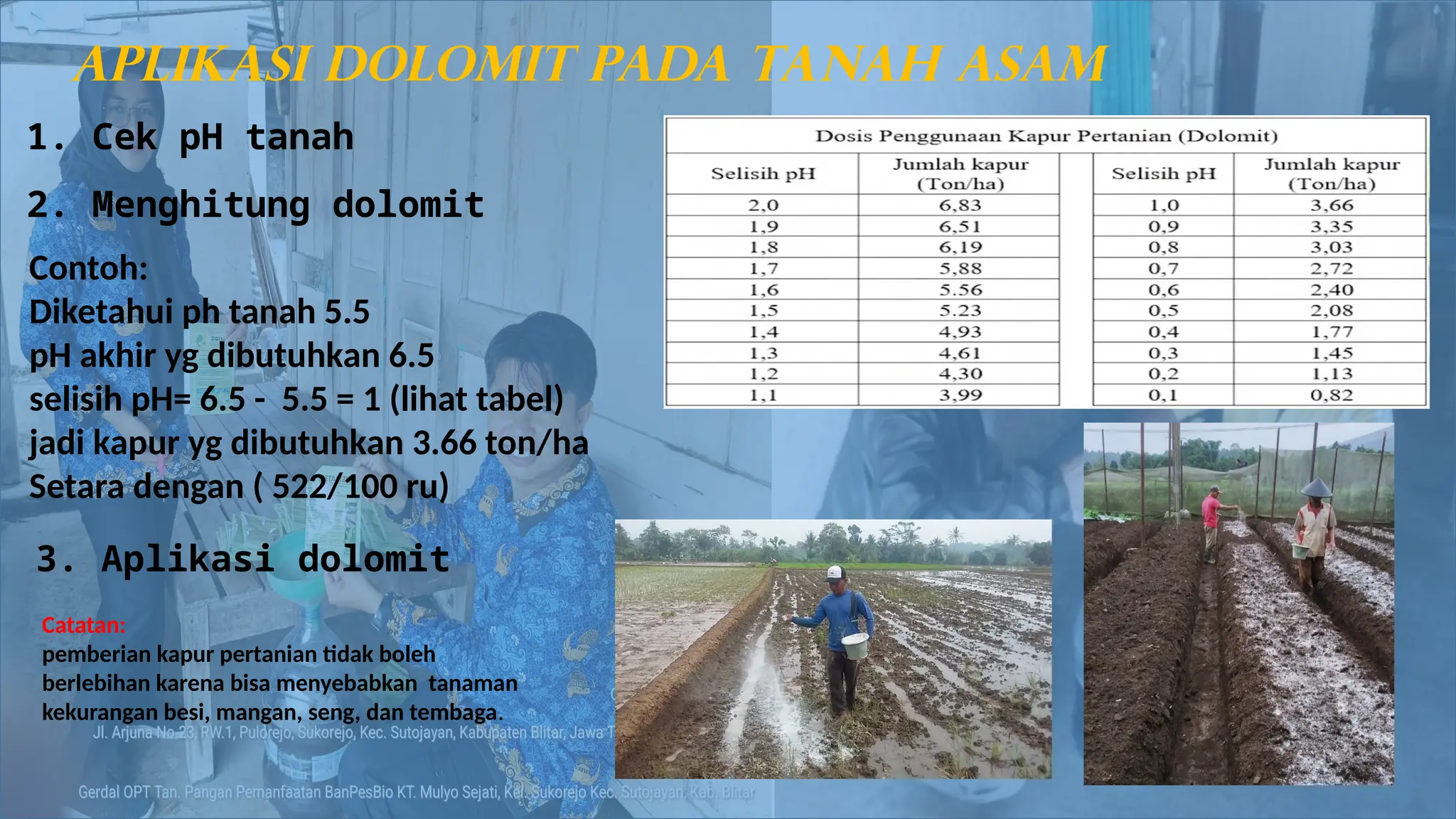 PENANGANAN TANAH MASAM PADA PERTANAMAN PADI.pptx