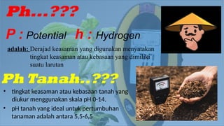 PENANGANAN TANAH MASAM PADA PERTANAMAN PADI.pptx