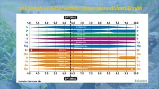 PENANGANAN TANAH MASAM PADA PERTANAMAN PADI.pptx