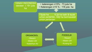 Tanah Masam 2023.pptx