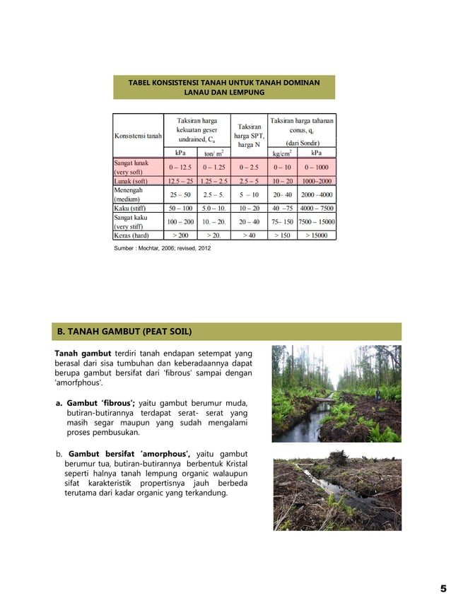 Tanah bermasalah / Tanah Problematik.pdf