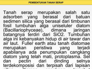 Tanah serap | PPT