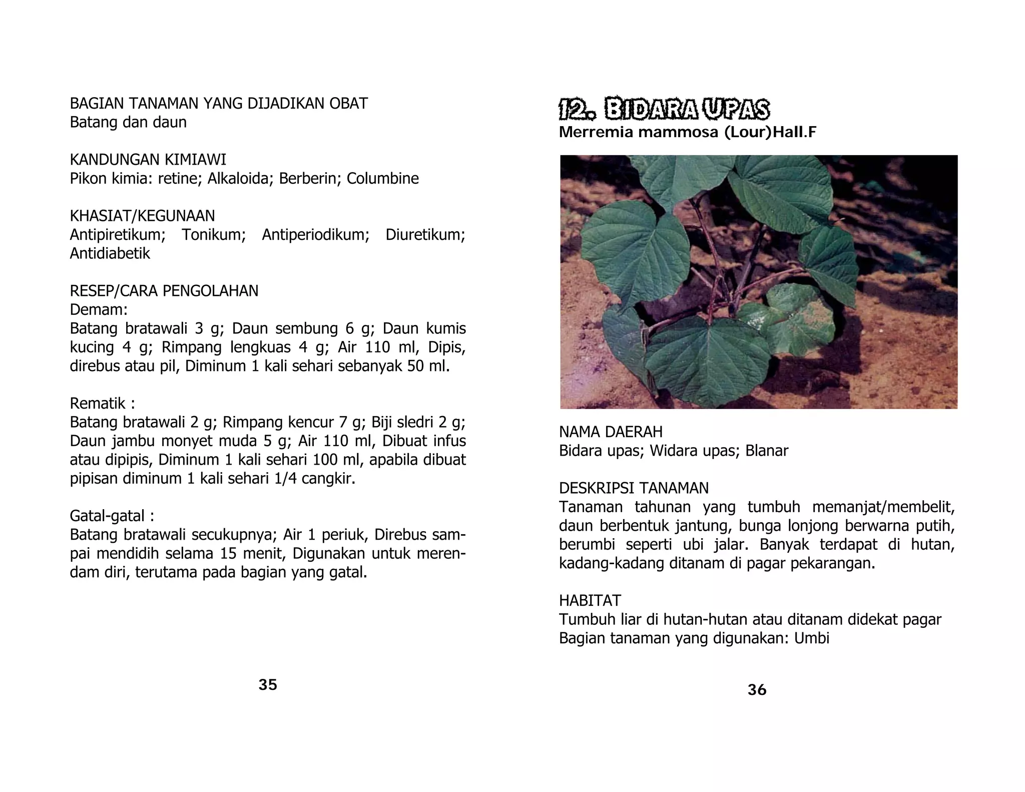 Tanaman herbal | PDF