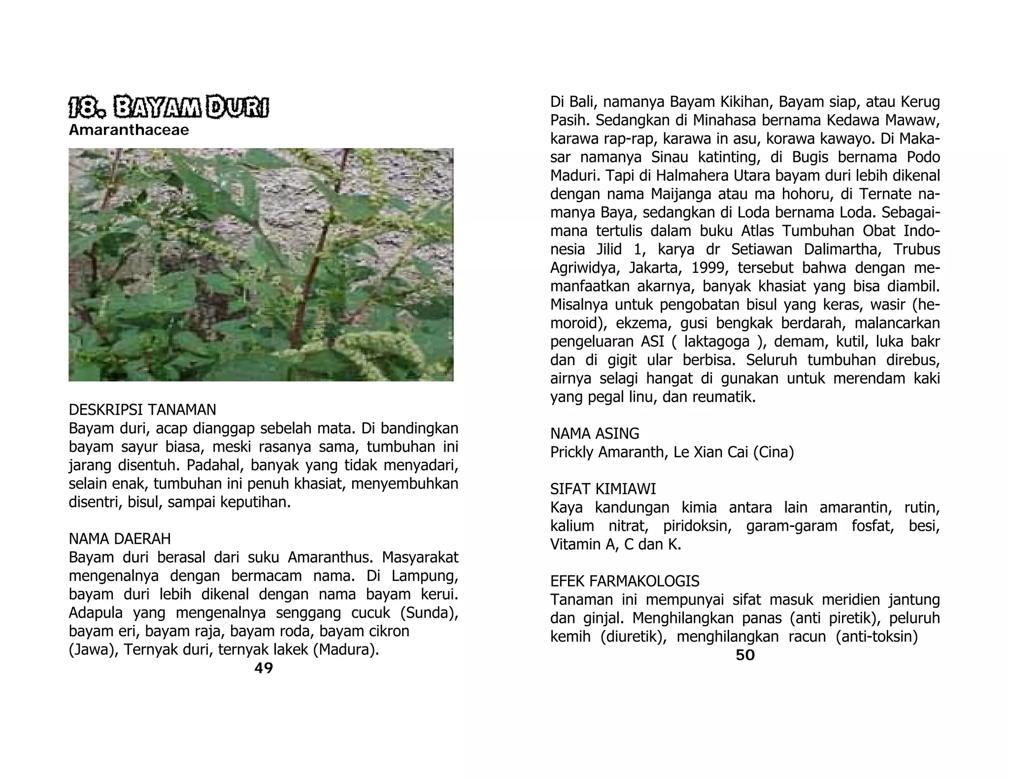 Tanaman herbal | PDF