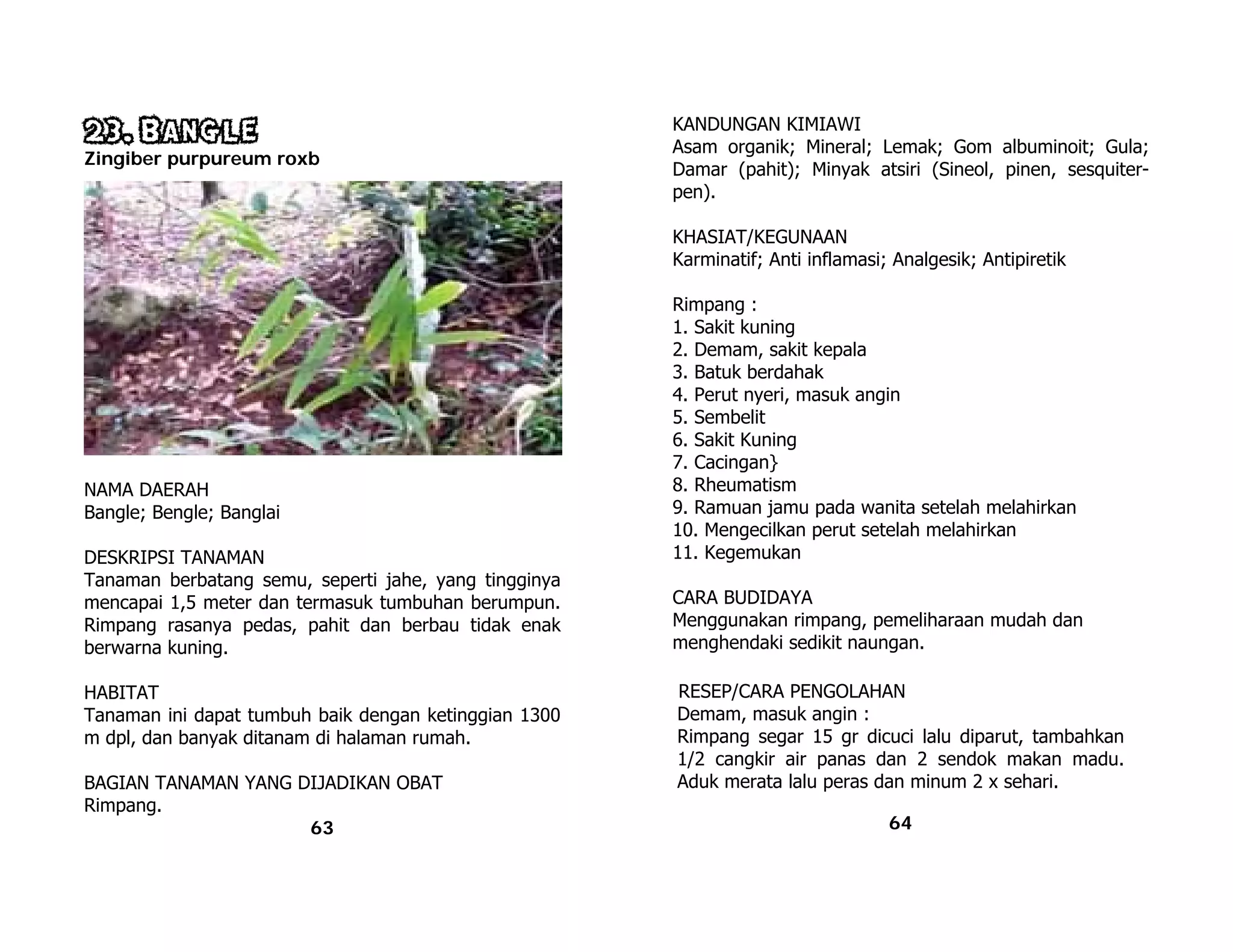 Tanaman herbal | PDF