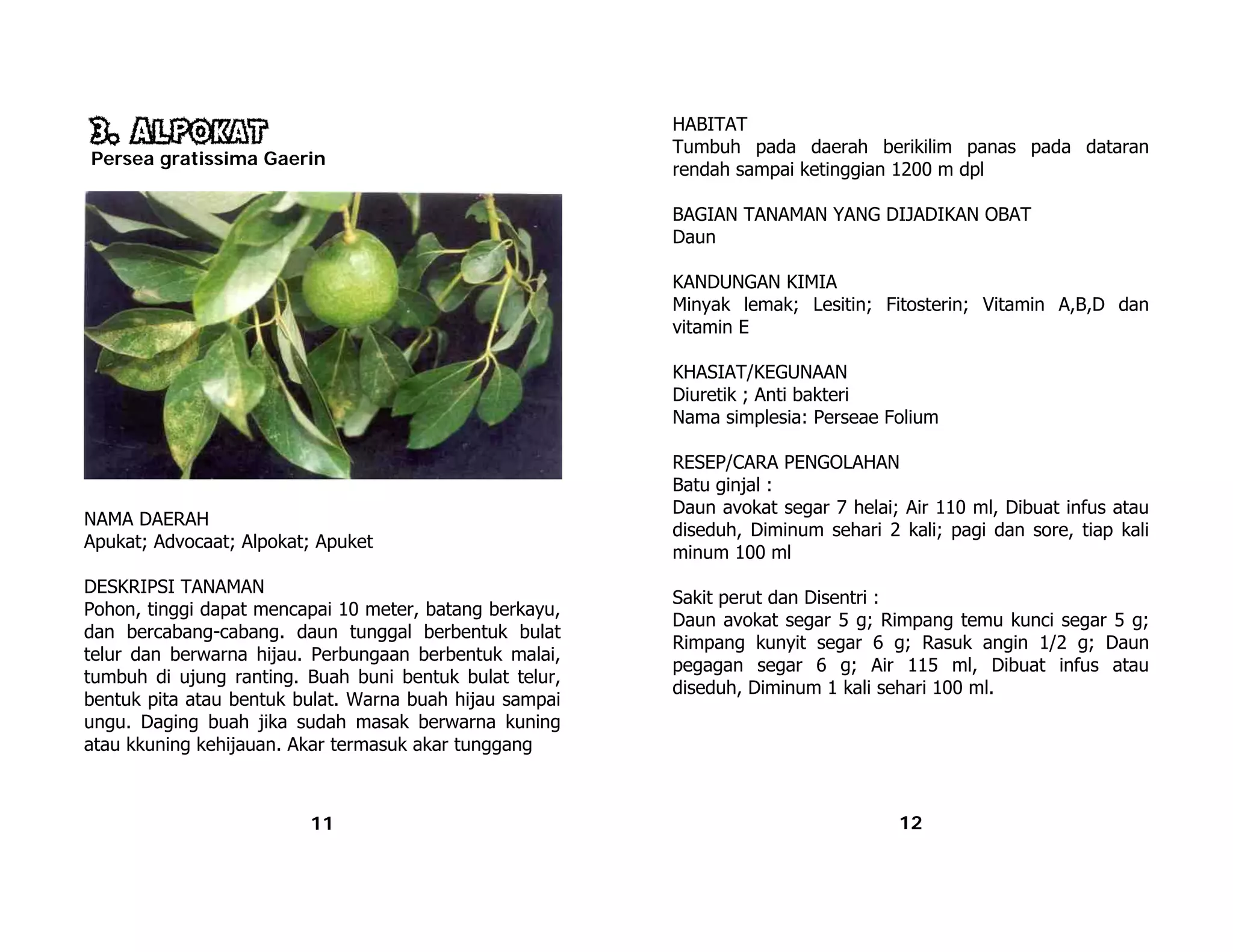Tanaman herbal | PDF