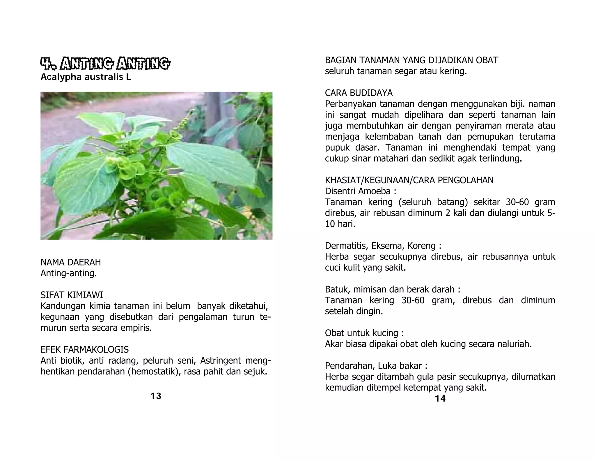 Tanaman herbal | PDF