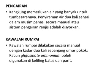 Tanaman Sayur Daun | PPT