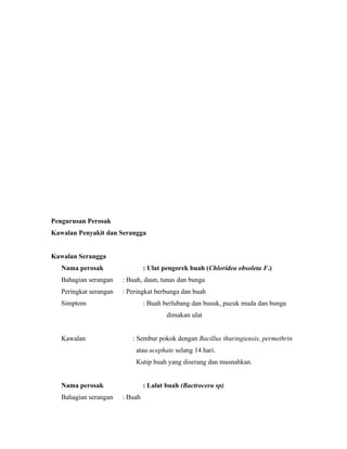 Tanaman Tomato | DOC