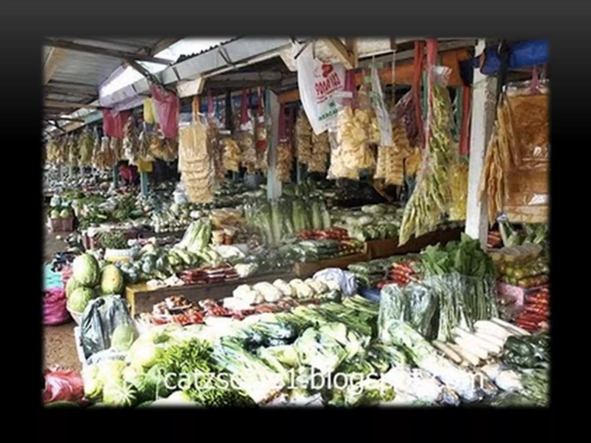 Tanaman Sayuran KHB PERTANIAN TING.1 | PPTX