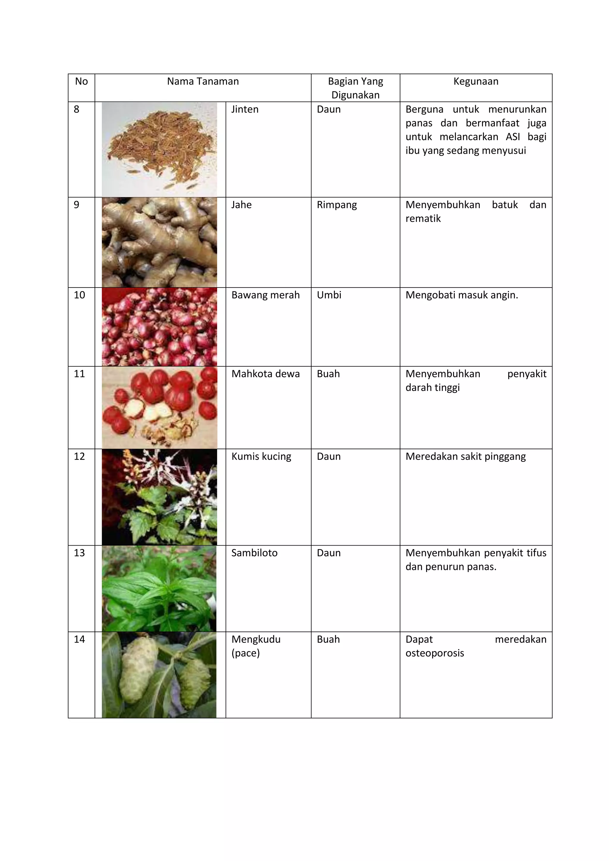 Tanaman apotik hidup | DOCX