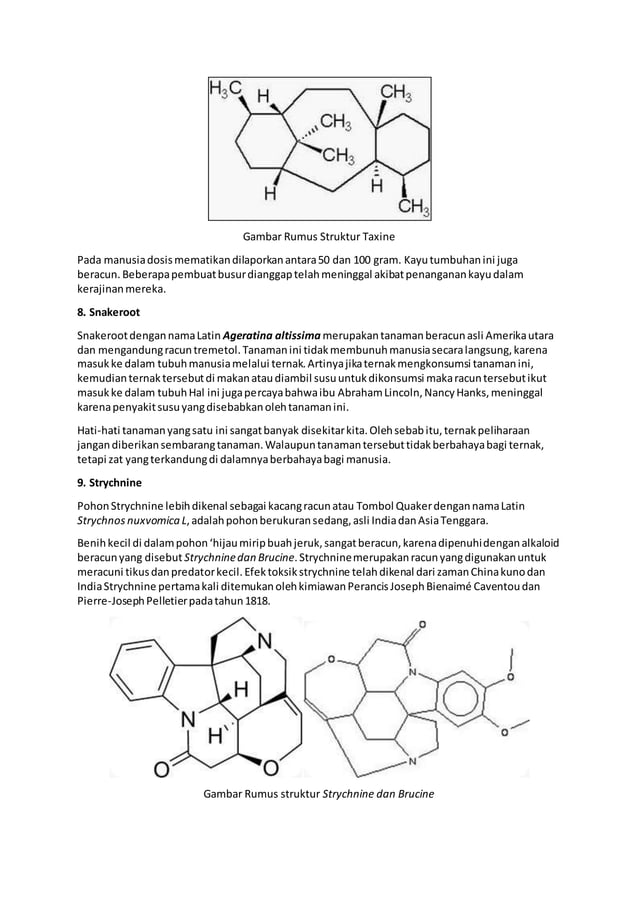 Tanaman beracun | DOCX