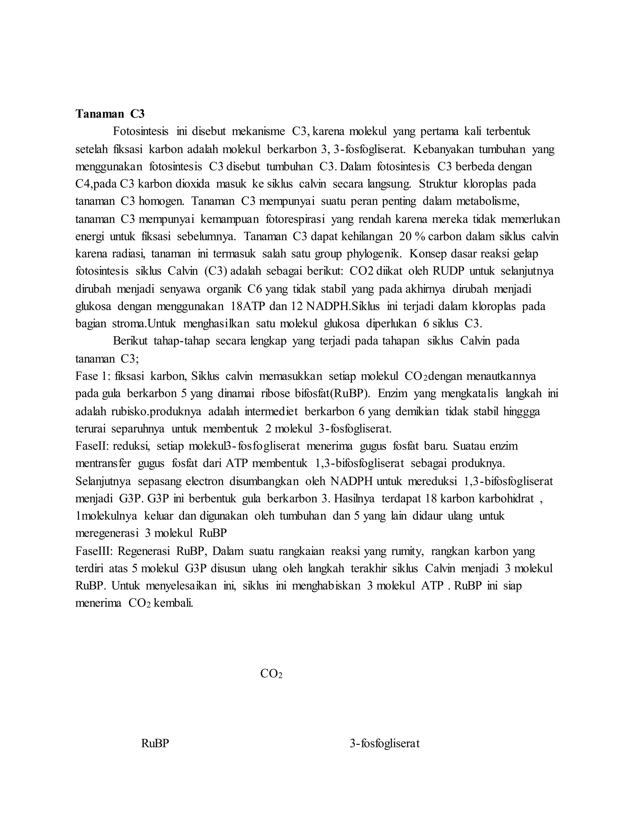 Tanaman c3 | DOCX