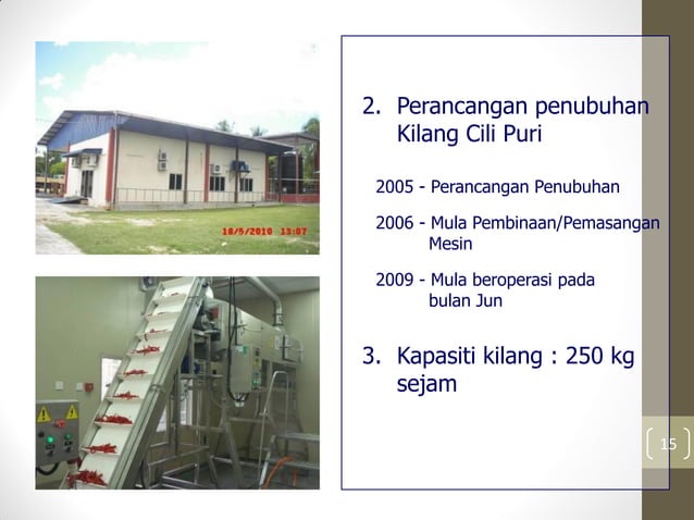 Tanaman cili fertigasi 2 | PDF